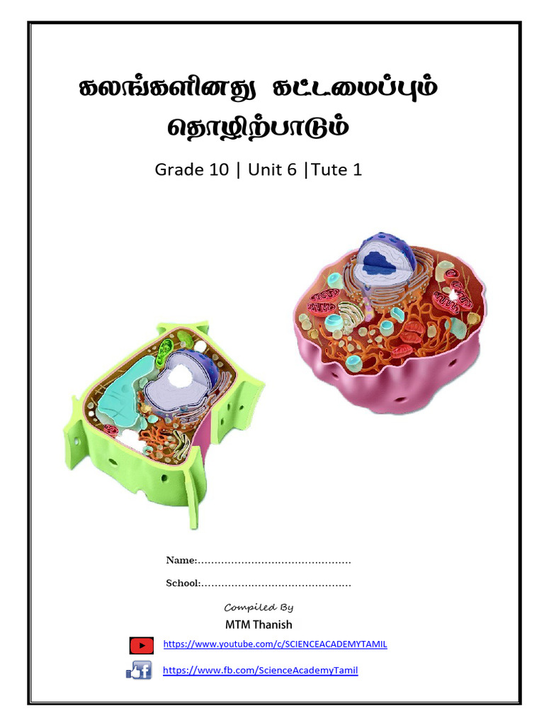 Cell & Functions PI | PDF