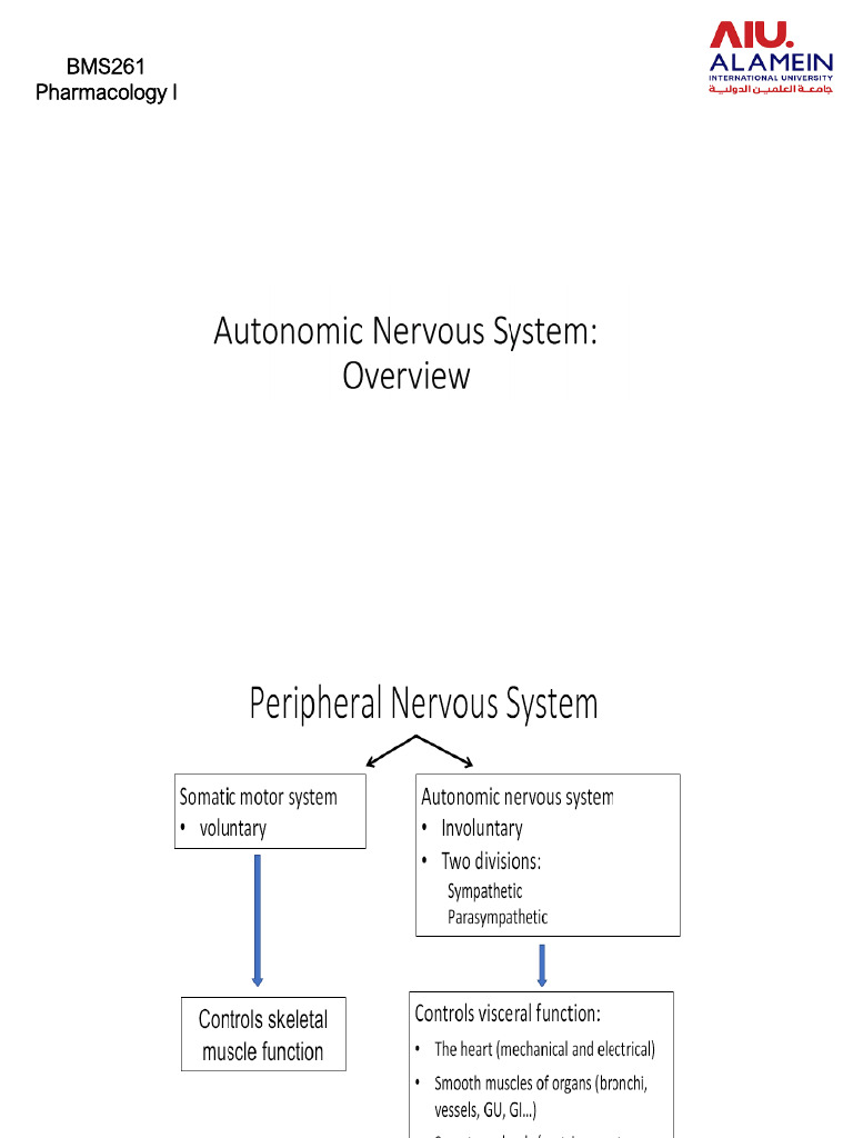 Lecture 3, Introduction To ANS | PDF