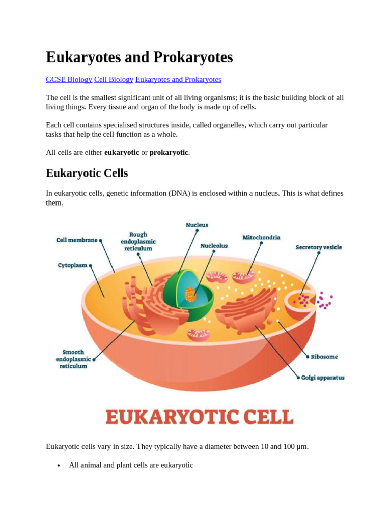 Eukaryotes And Prokaryotes Pdf