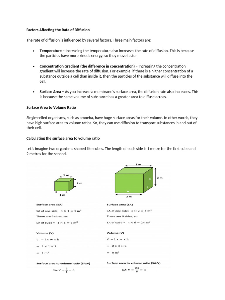 Factors Affecting The Rate of Diffusion | PDF
