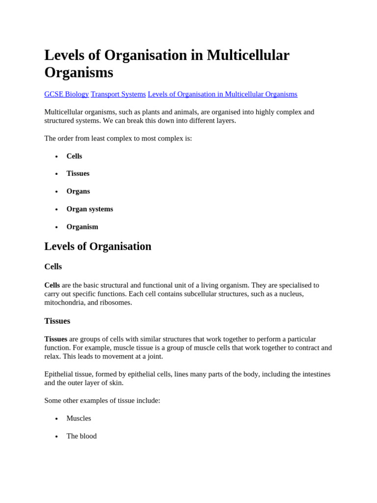 Levels of Organisation in Multicellular Organisms | PDF | Tissue (Biology) | Muscle