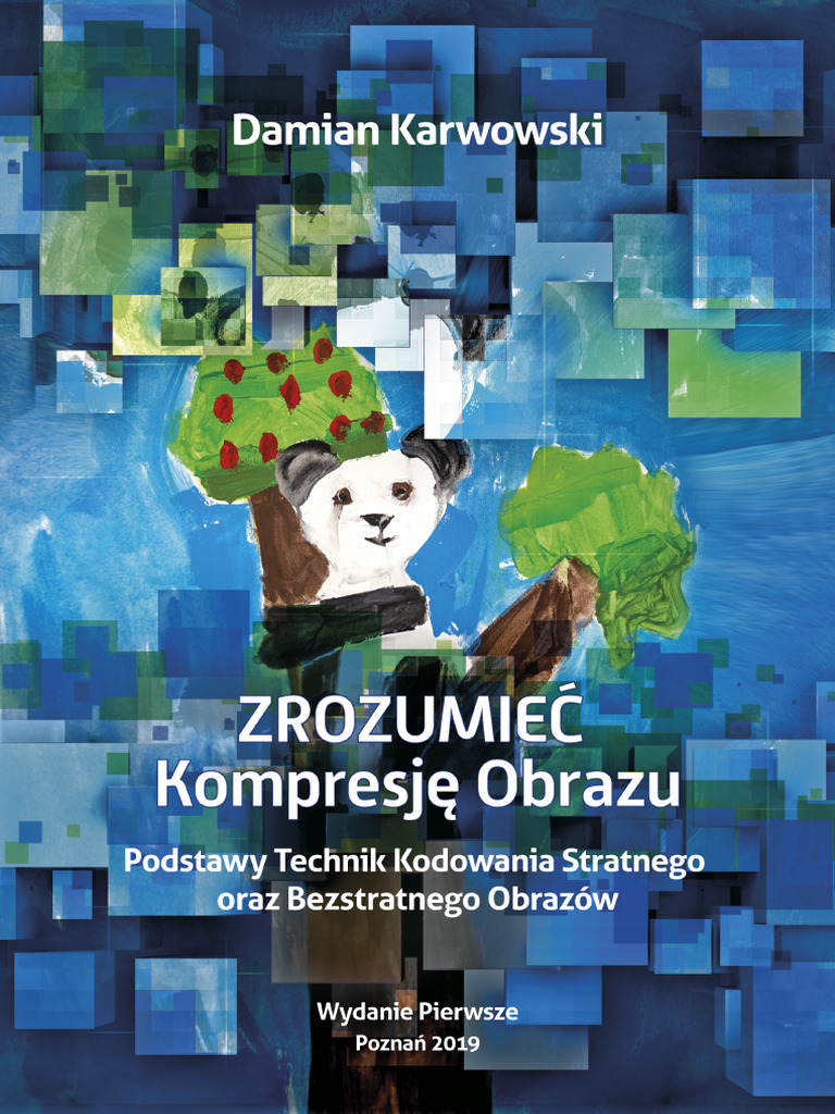 DKarwowski ZrozumiecKompresjeObrazu | PDF