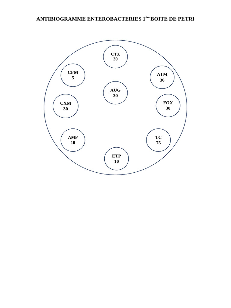 Antibiogramme 1ère Boite | PDF