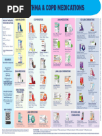 Respiratory Inhaler Identification Chart | PDF | Pharmaceutical ...