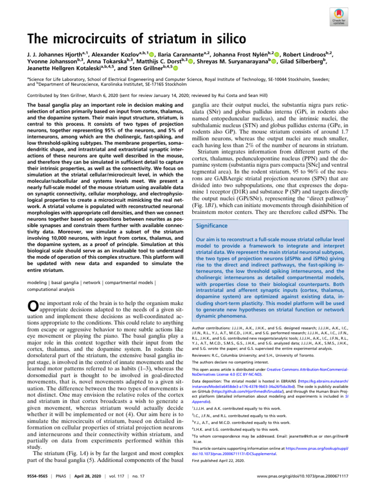 The Microcircuits of Striatum in Silico | PDF | Striatum | Basal Ganglia