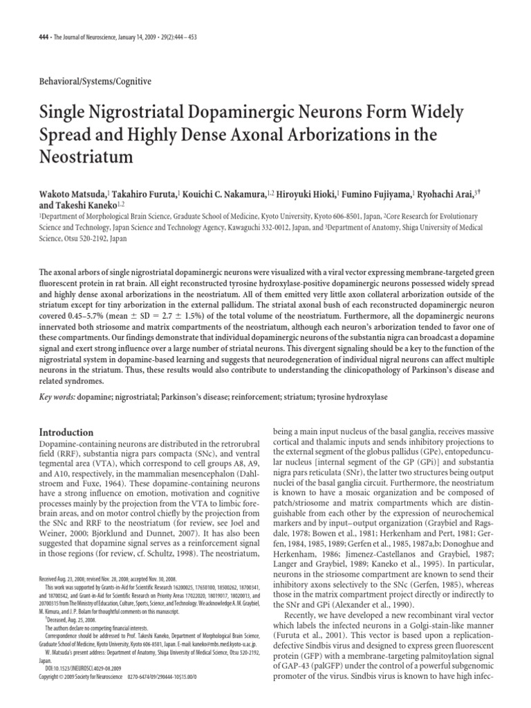Single Nigrostriatal Dopaminergic Neurons Form Widely Spread and Highly ...