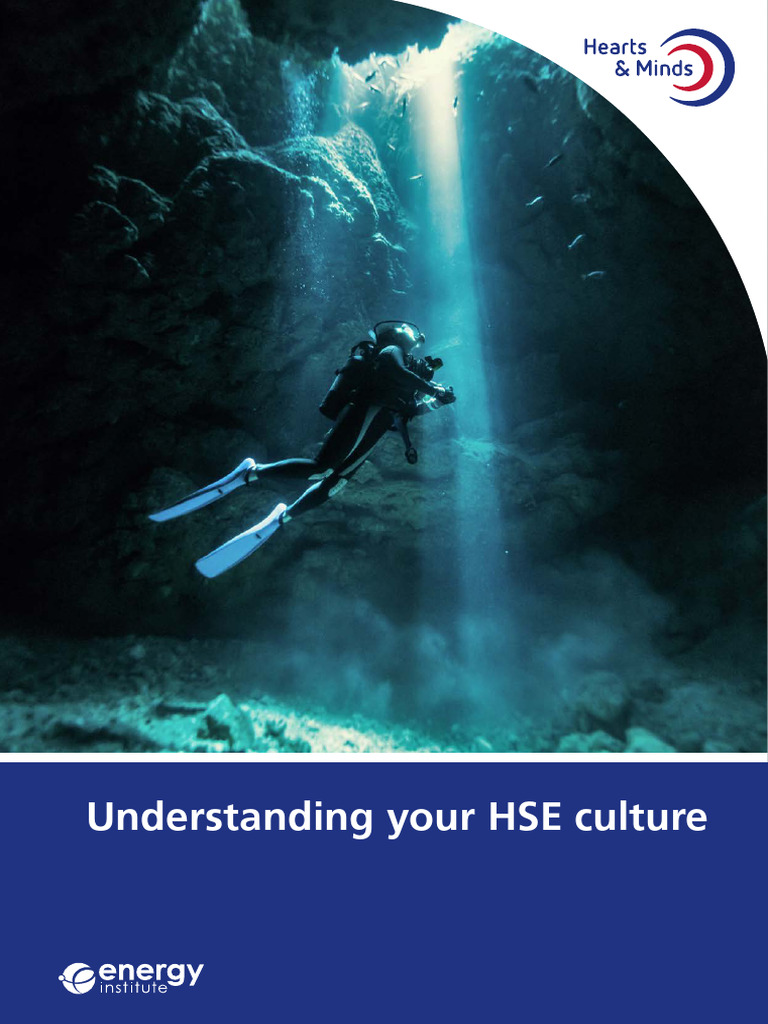 Understanding Your HSE Culture | PDF | Risk | Audit
