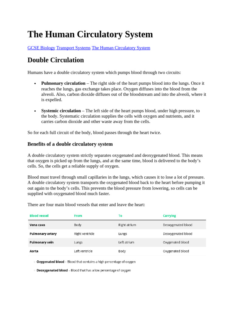 The Human Circulatory System | PDF