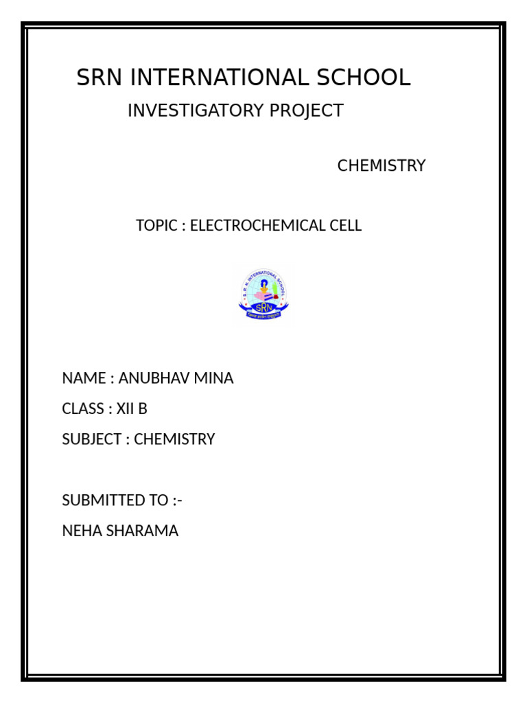 Electrochemical Cell Project | PDF