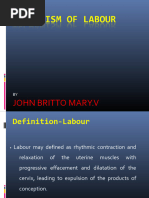 Mechanism of Labour | PDF | Pelvis | Anatomical Terms Of Motion