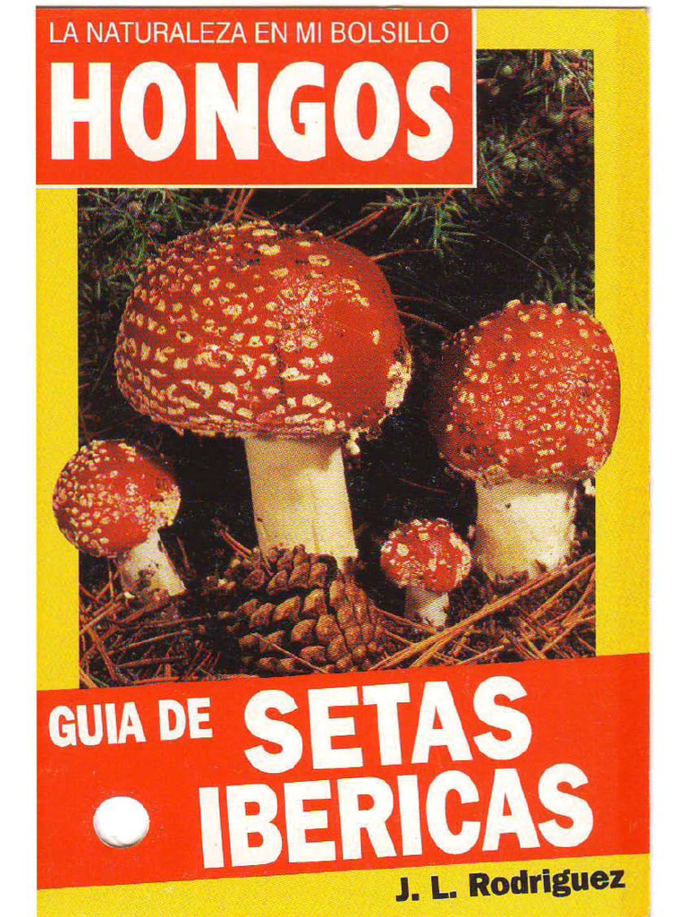 Guia de Setas Ibericas | PDF | Hongo | Micología