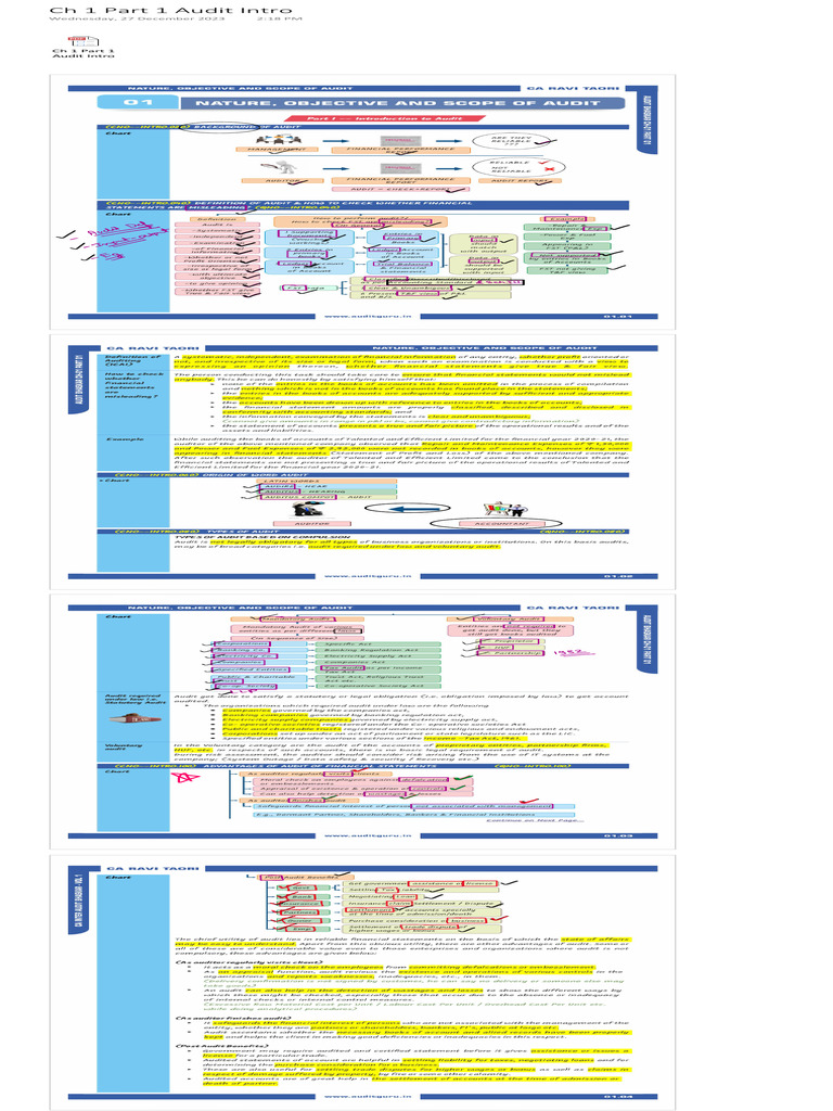 CH 1 Part 1 Audit Intro | PDF