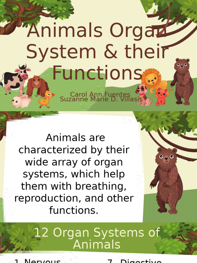 Animal Organ Systems and Functions | PDF | Skeleton | Human Body