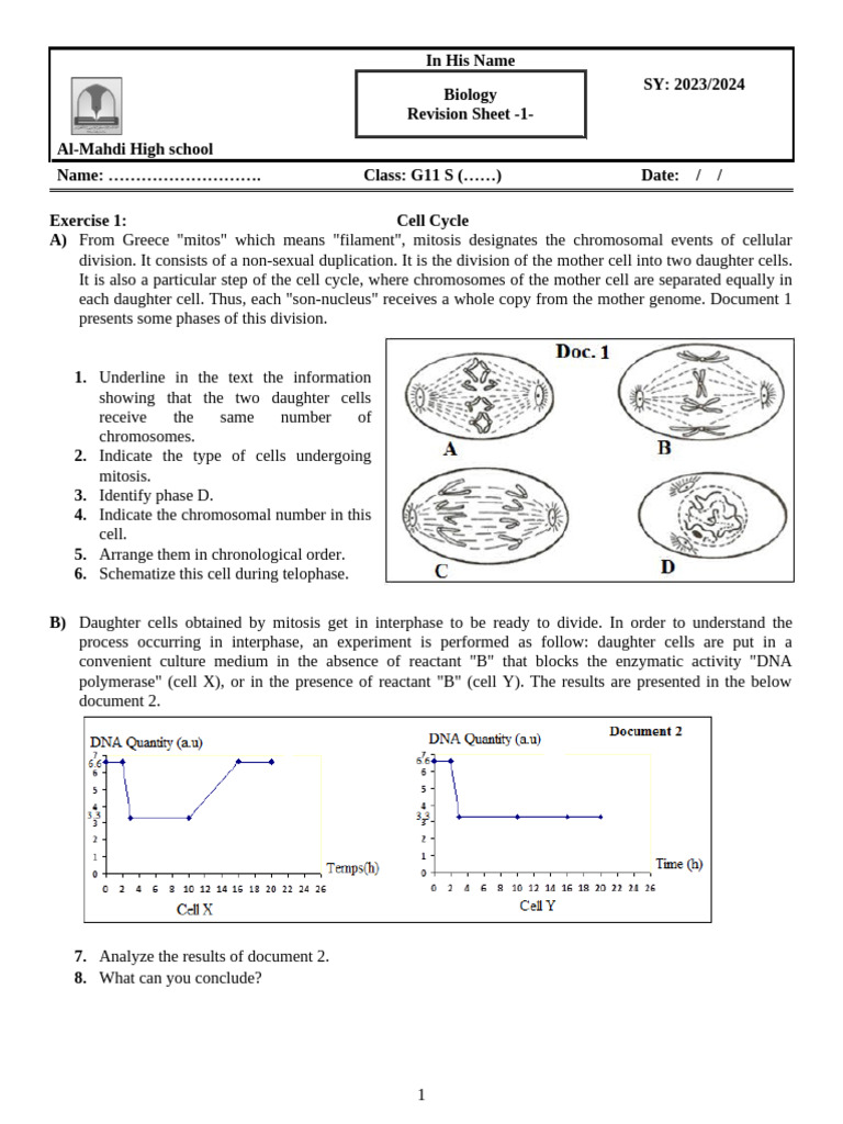 G 11-Revision sheet 1-23-24 - docx | PDF | Mitosis | Karyotype