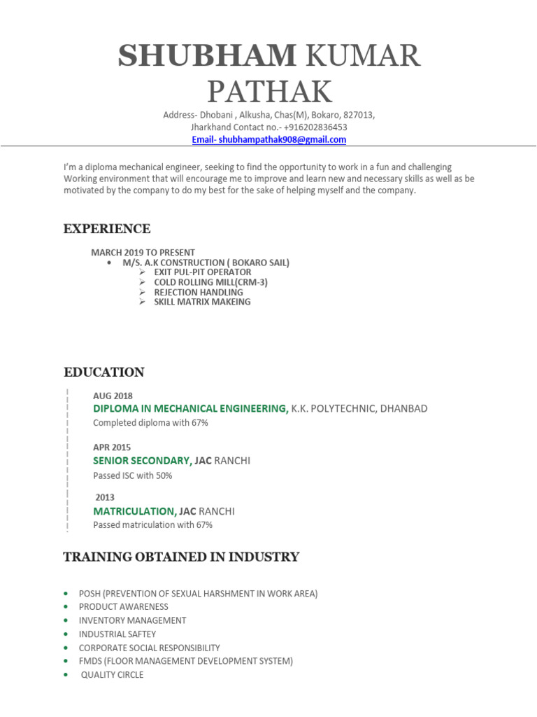 S.K.PATHAK CV | PDF