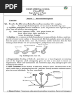 Reproduction in Plants - Revision Questions | PDF | Flowers | Reproduction