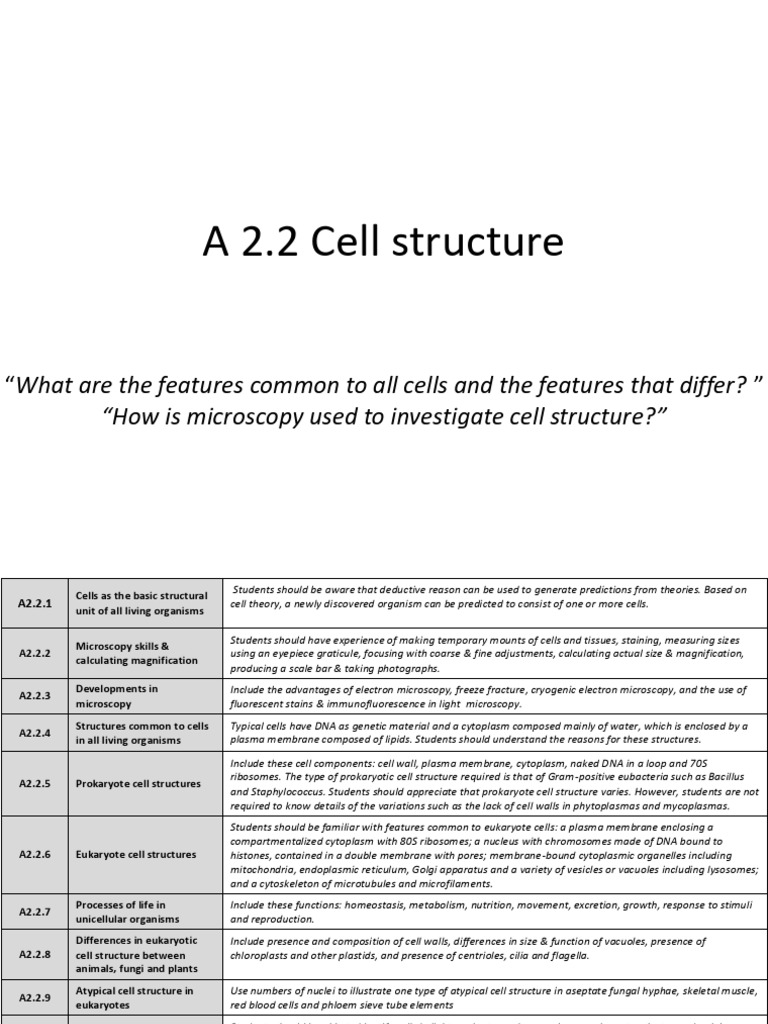 cell_structure_sl | PDF | Endoplasmic Reticulum | Cell (Biology)