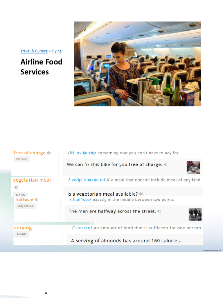 Airline Food Service | PDF | Drink | Meal