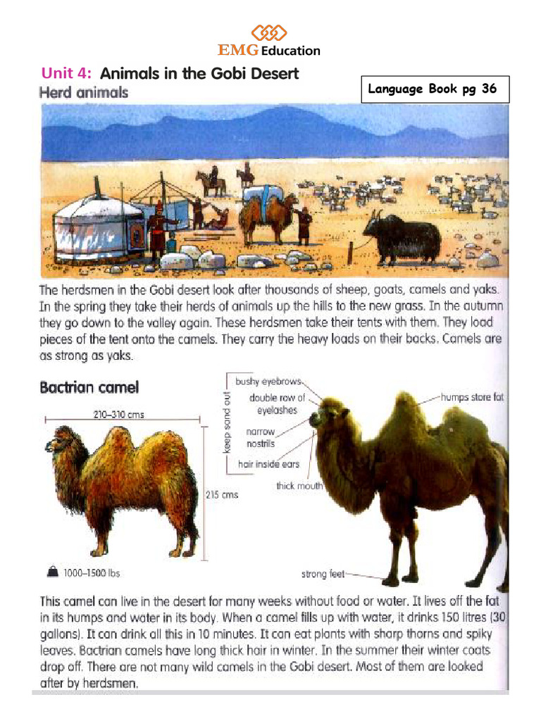 macmillan english language book 3 unit 4 | PDF