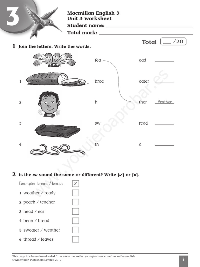 Macmillan English Language Book 3 Unit 3 | PDF