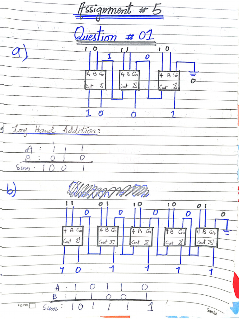 Miss Rabia Assignment Solution | PDF