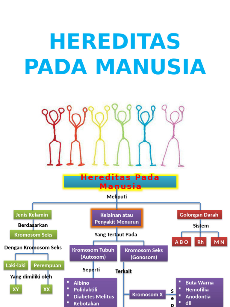 Hereditas Pada Manusia | PDF