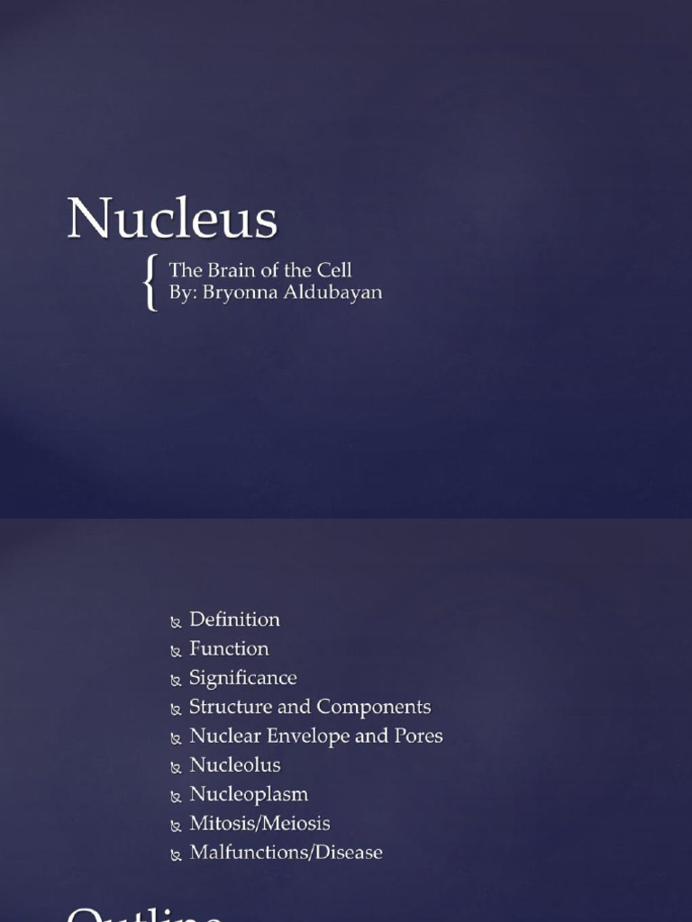 Nucleus Presentation ( Neuro ) | PDF