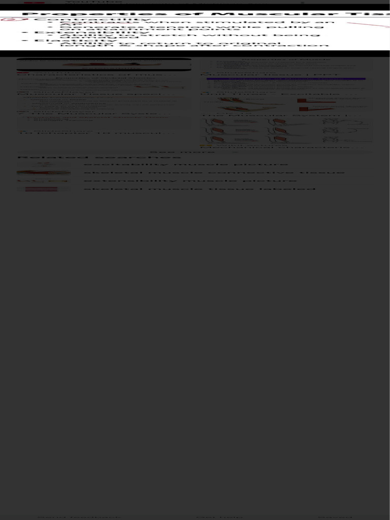 Extensibility of Muscle - Google Search | PDF