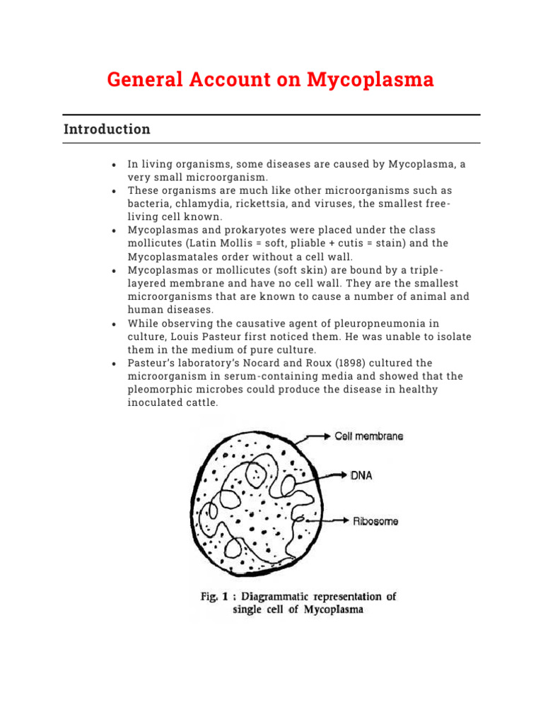 Overview of Mycoplasma Characteristics | PDF | Mycoplasma | Cell (Biology)