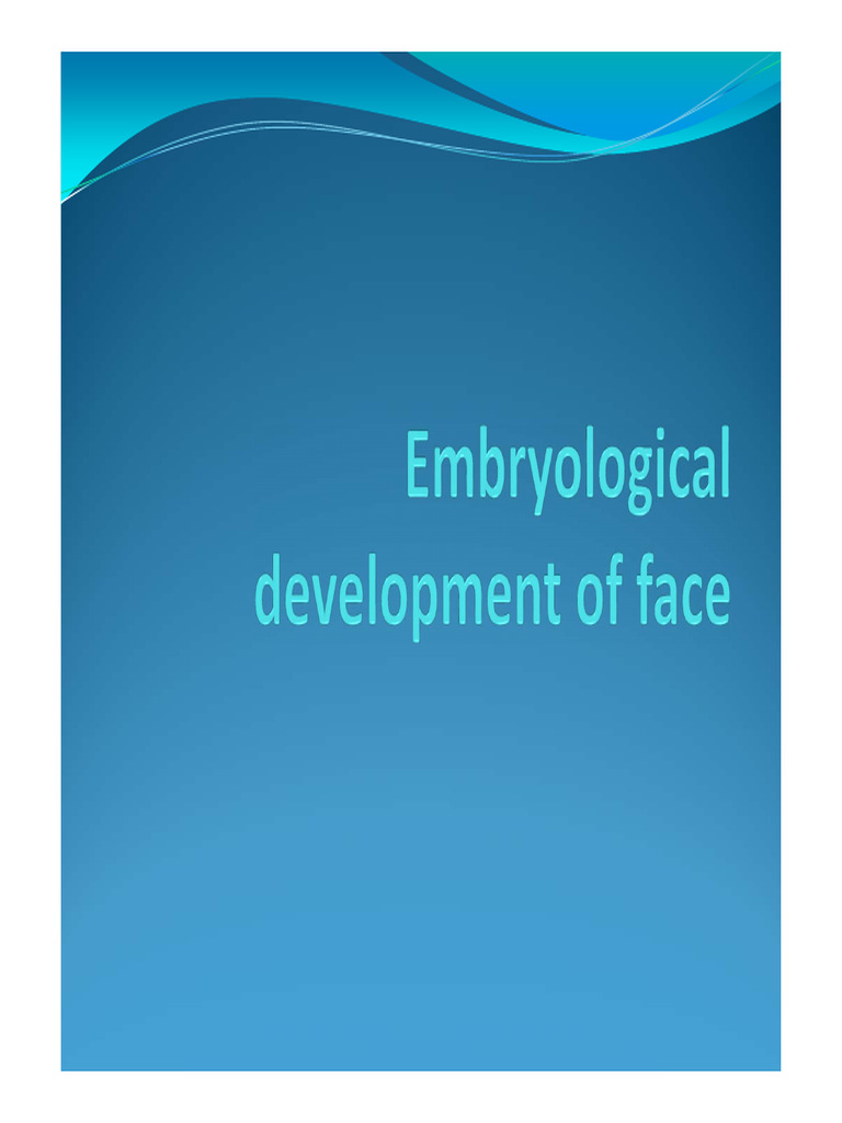 Embryological Development of Face | PDF | Diseases And Disorders ...