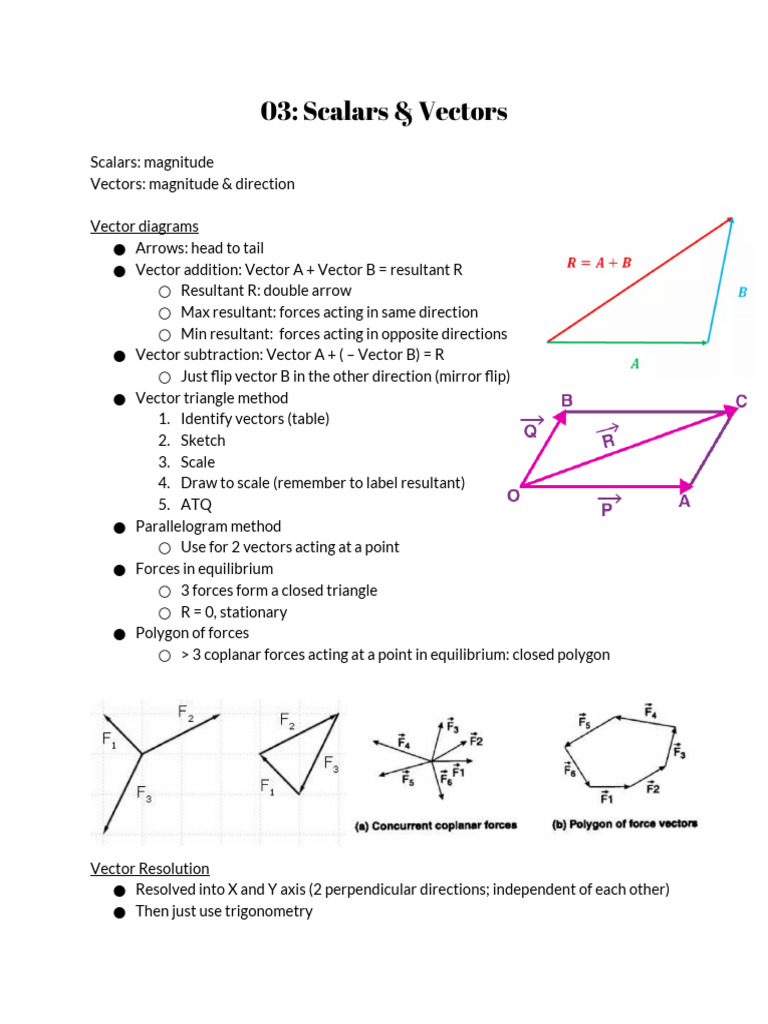 Scalars _ Vectors | PDF