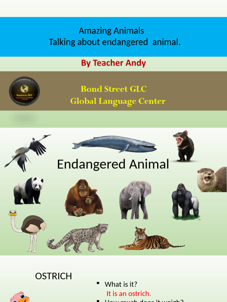 Endangered Animals Overview and Facts | PDF | Mammals | Tasmania