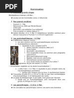 Crane de Comorien - Recherche Google | PDF | Partage de média ...