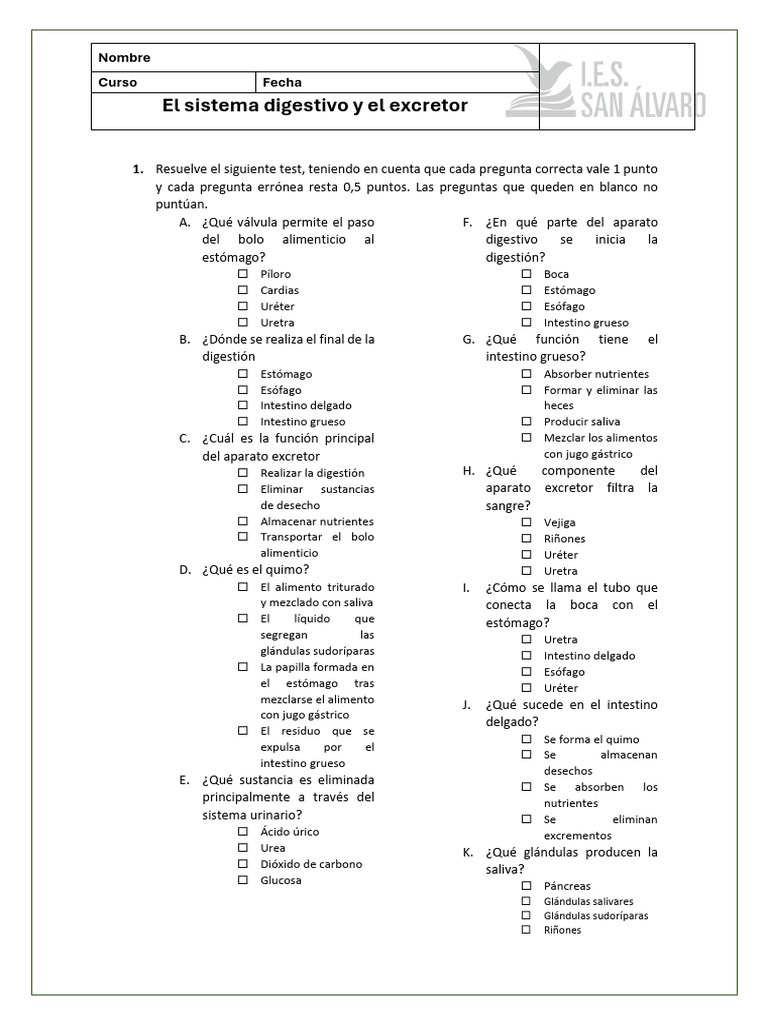 Examen - Sistema Digestivo y Excretor - 3º de Diver - 24-25 | PDF ...