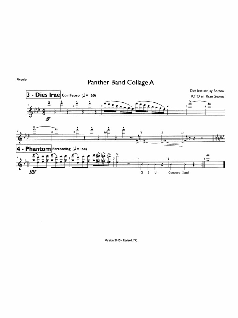 Piccolo 2 Flip Folder 2024 | PDF