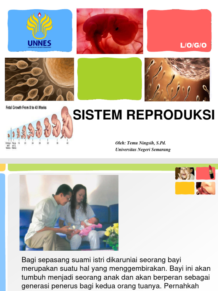 Bahan Ajar Sistem Reproduksi Kelas Xi Ip | PDF