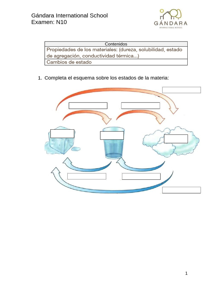 Gándara International School Examen: N10 | PDF