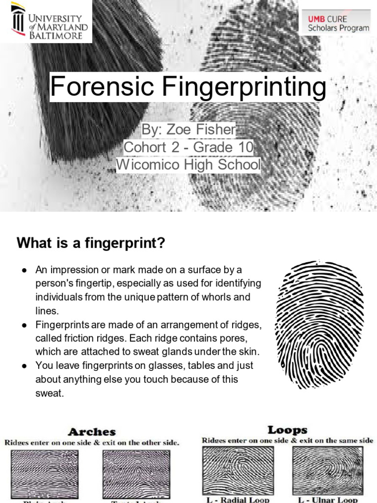 ADAComplaince_ForensicFingerprinting | PDF | Fingerprint | Forensic Science