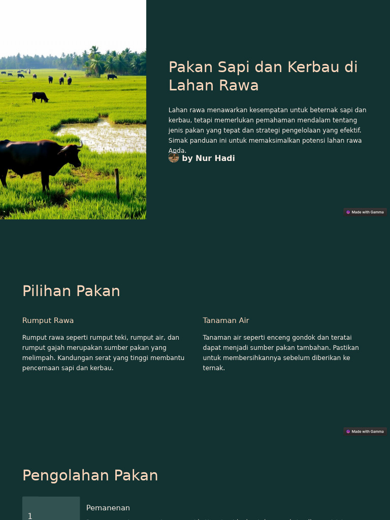 Pakan Sapi Dan Kerbau Di Lahan Rawa | PDF