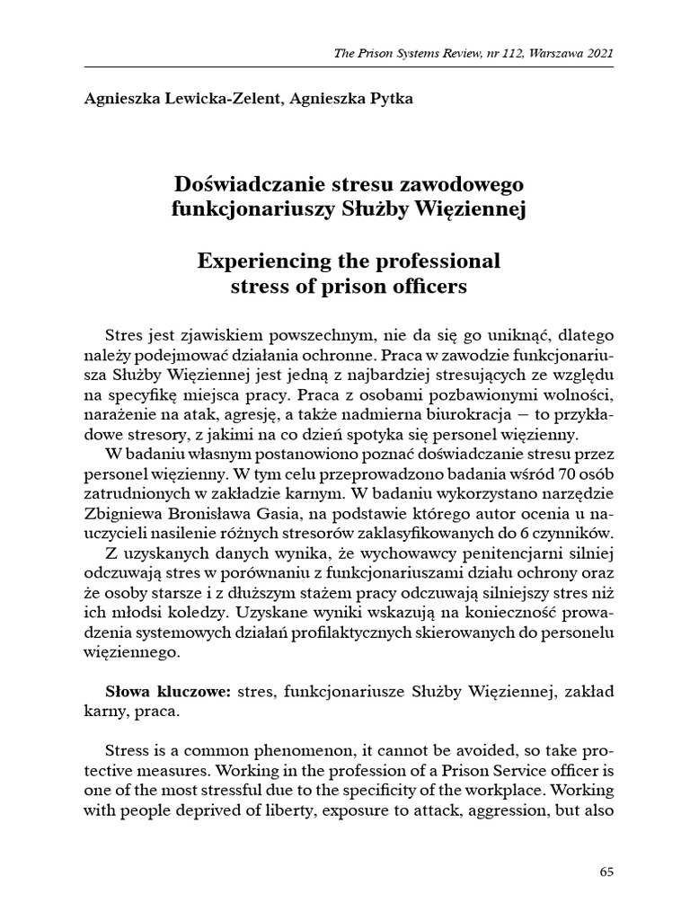 04 Pytka | PDF