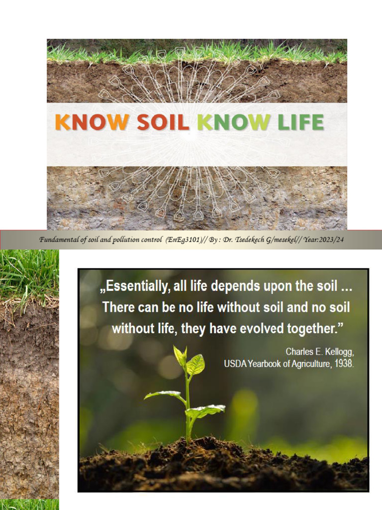 Chapter 5 (2) | PDF | Soil | Ecosystem