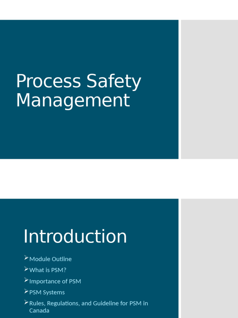 14 Pee Process Safety 8s r13 | PDF | Risk | Occupational Safety And Health