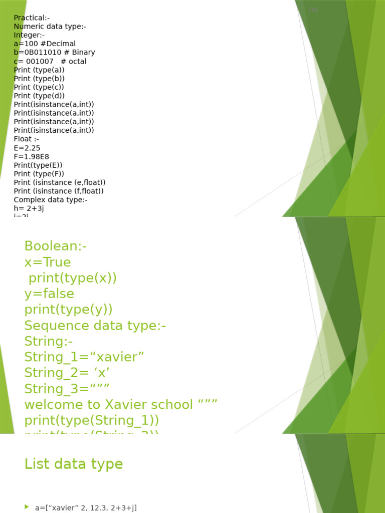 Python Data Types Explained | PDF