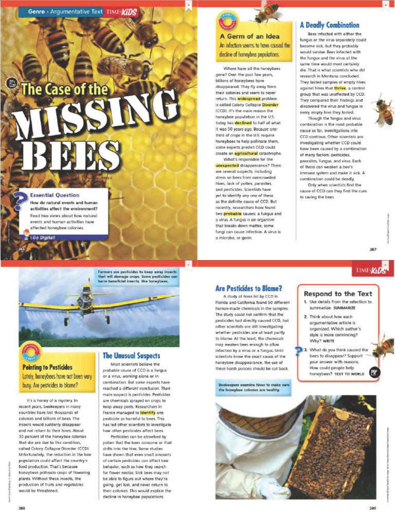 The Case of The Missing Bees | PDF | Bees | Honey Bee