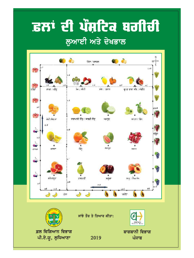 Fruit Nutrition Garden P | PDF
