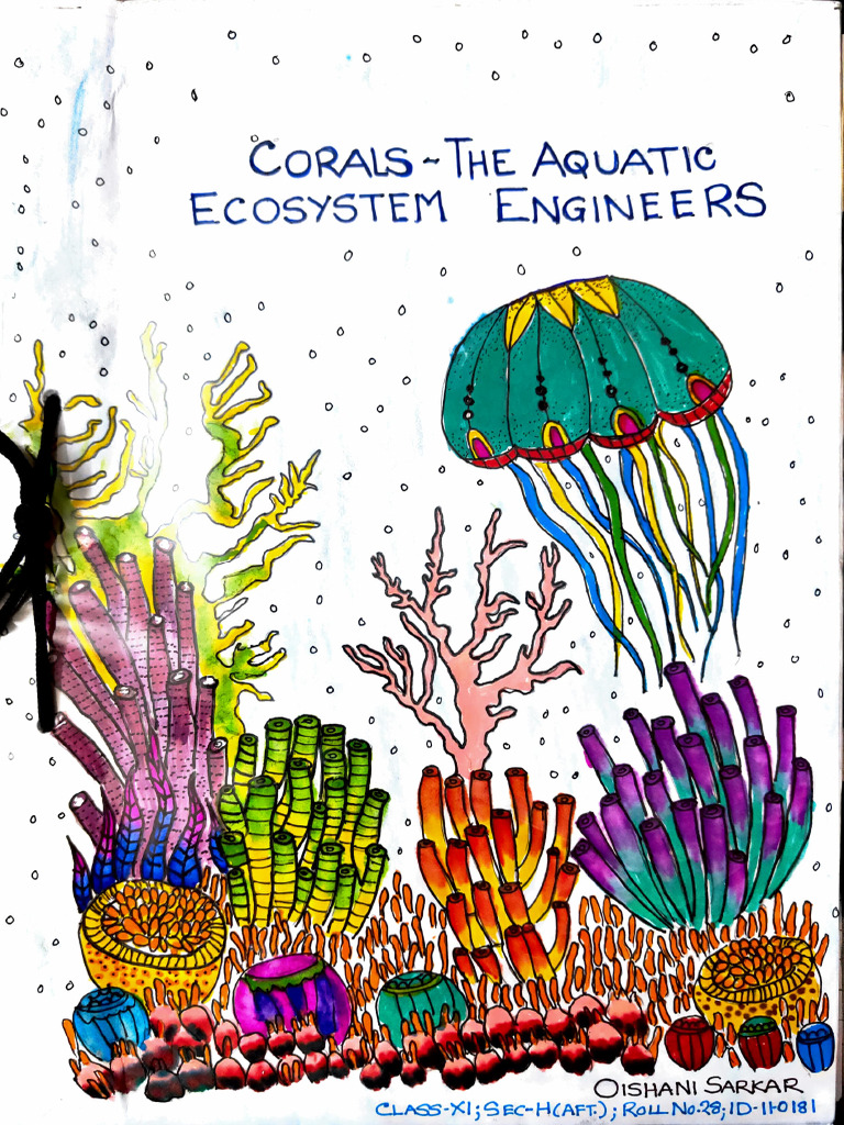 Coral Project | PDF