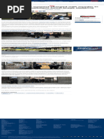 Dignity Collage | PDF