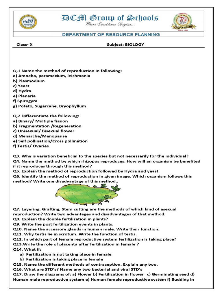 Bio Class 10 Revision Assignment | PDF | Heredity | Biology