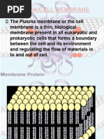 Biology Membranes A-Level OCR Notes | PDF | Cell Membrane | Biotechnology