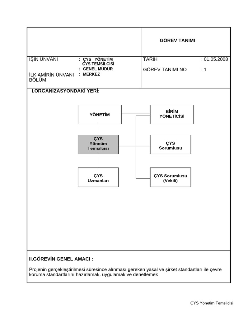 Cys Yonetim Temsilcisi | PDF